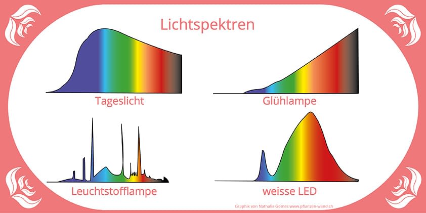 Photometrie: Licht und seine Einheiten - 2021